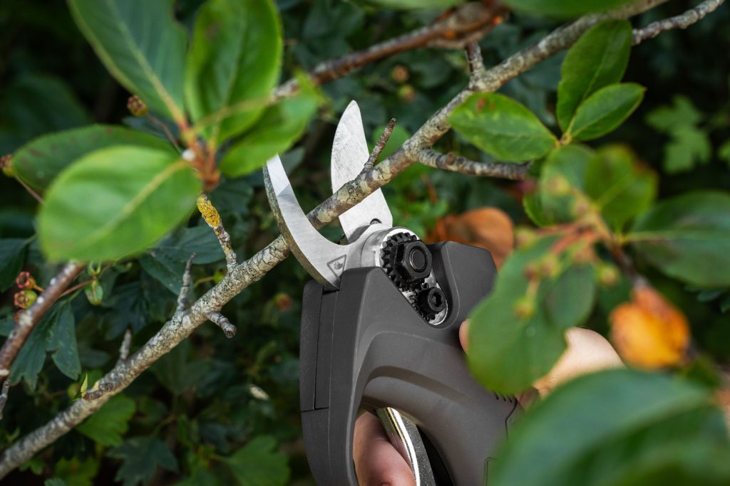 Pruners